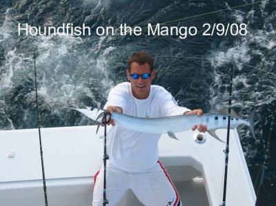 Houndfish and Circle Hooks